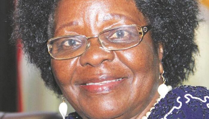 “Local authorities take care of us from cradle to grave,”- Minister ...